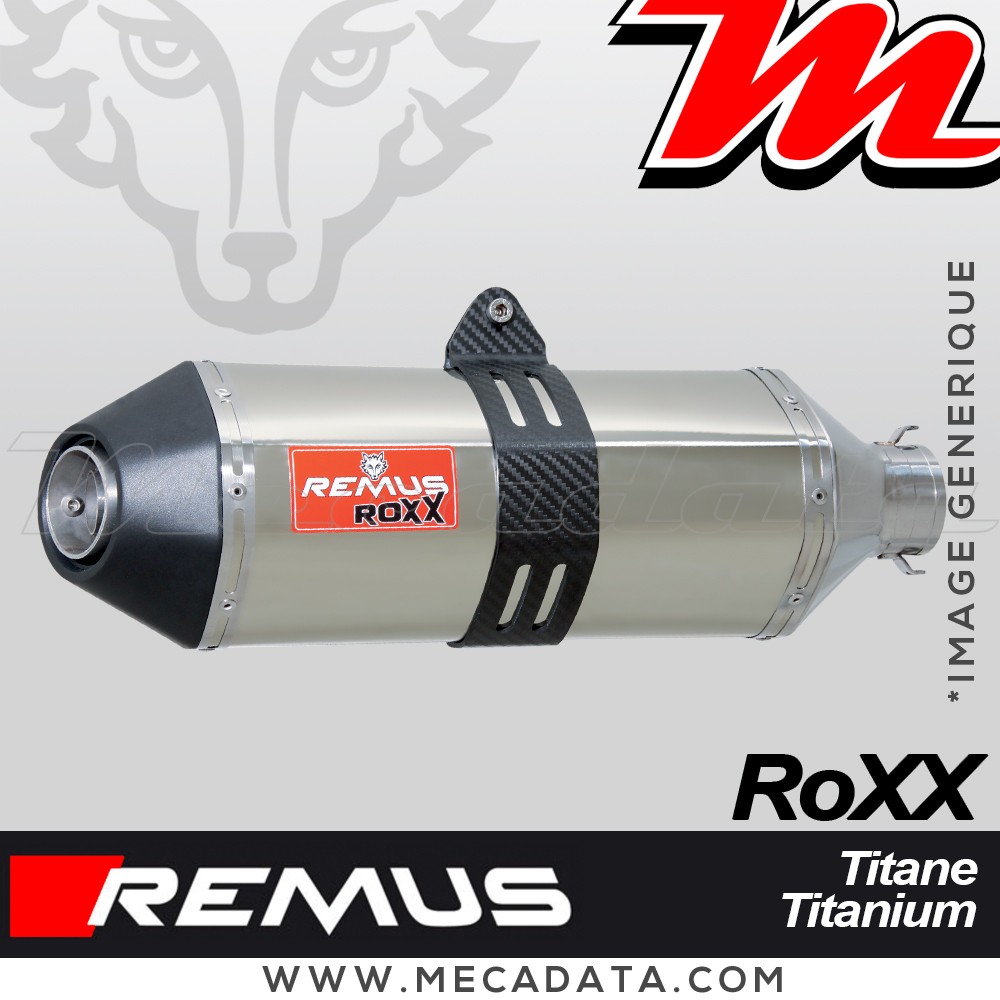 Silencieux Pot d'échappement KTM 390 Duke 2013-2014 REMUS Roxx
